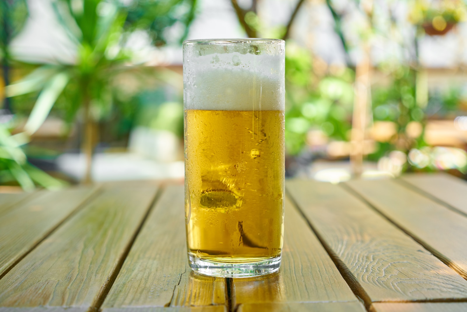 Ale Vs. Lager: Understanding The Basic Differences > New To Brewing Ale Vs. Lager: Understanding The Basic Differences > New To Brewing